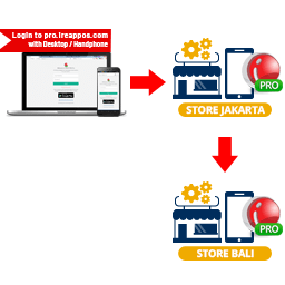 What is Inter Store Stock Transfer in iREAP POS PRO?